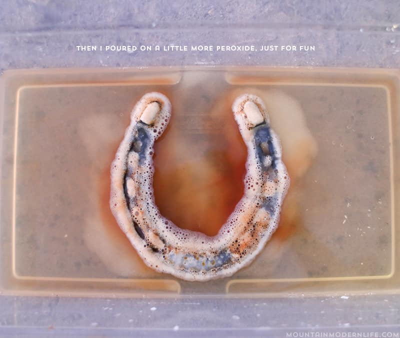 How to Make Metal Rust in Less than 10 Minutes | MountainModernLife