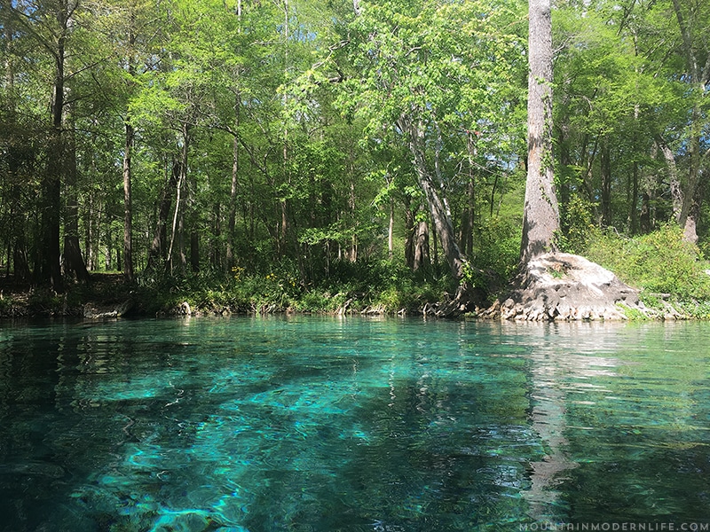 Kayaking Down Santa Fe River In Northern Florida | Mountain Modern Life
